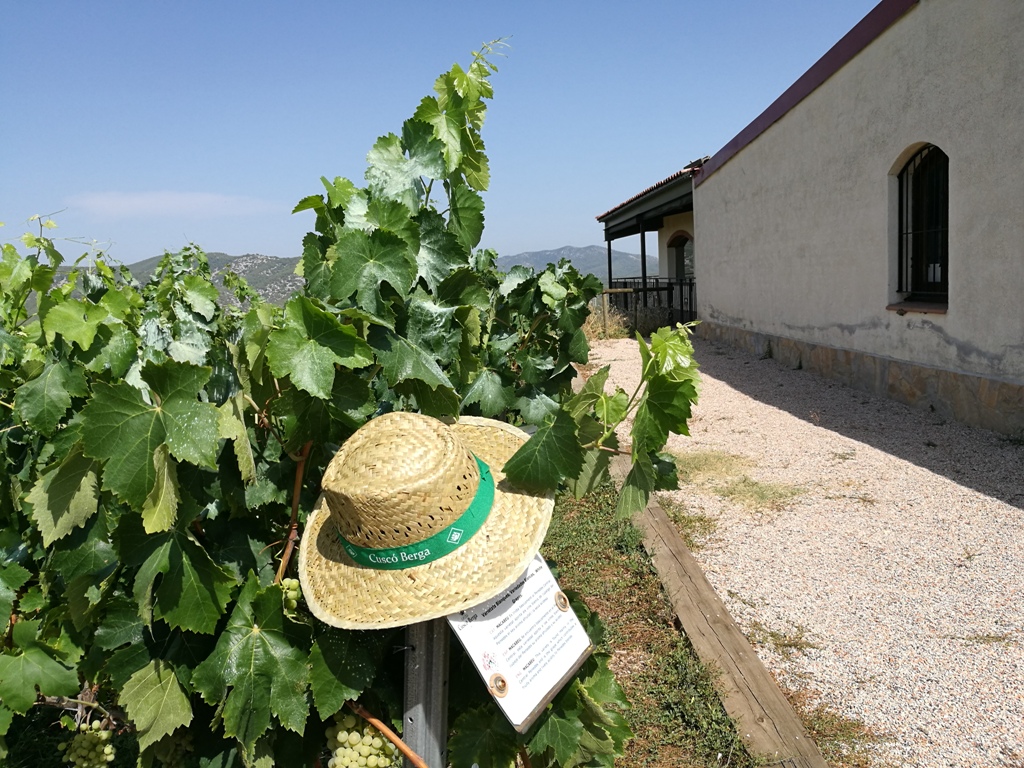 Land Rover Wine Tour - Verema