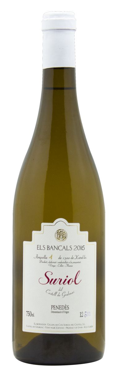 Taller de Cata de vinos naturales a Cellers de Can Suriol